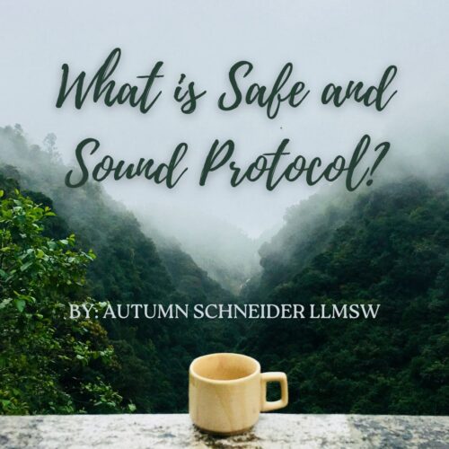 What is Safe and Sound Protocol | Blooming Minds Therapy